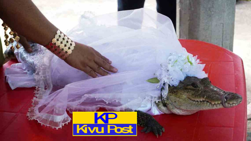 Mexico :Meya yasezeranye kubana n’ingona akaramata – KIVUPOST.RW